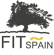 Fit Spain – Traductor Academy